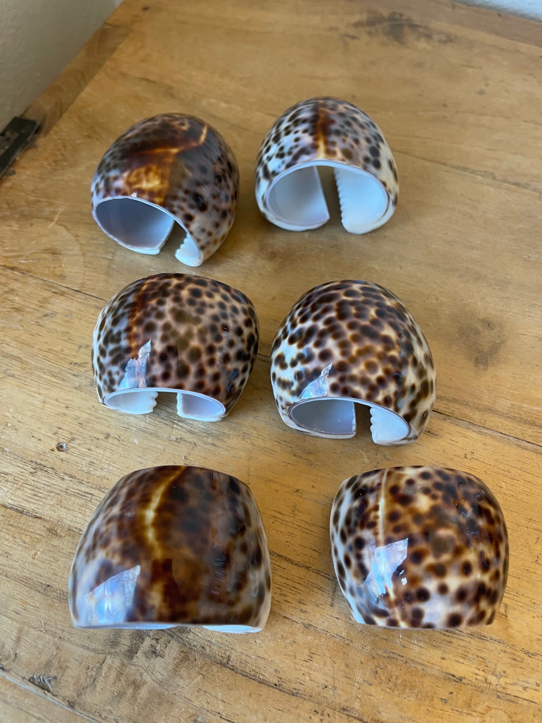 Vintage Cowrie Shell Napkin Rings 6 Pcs - Etsy