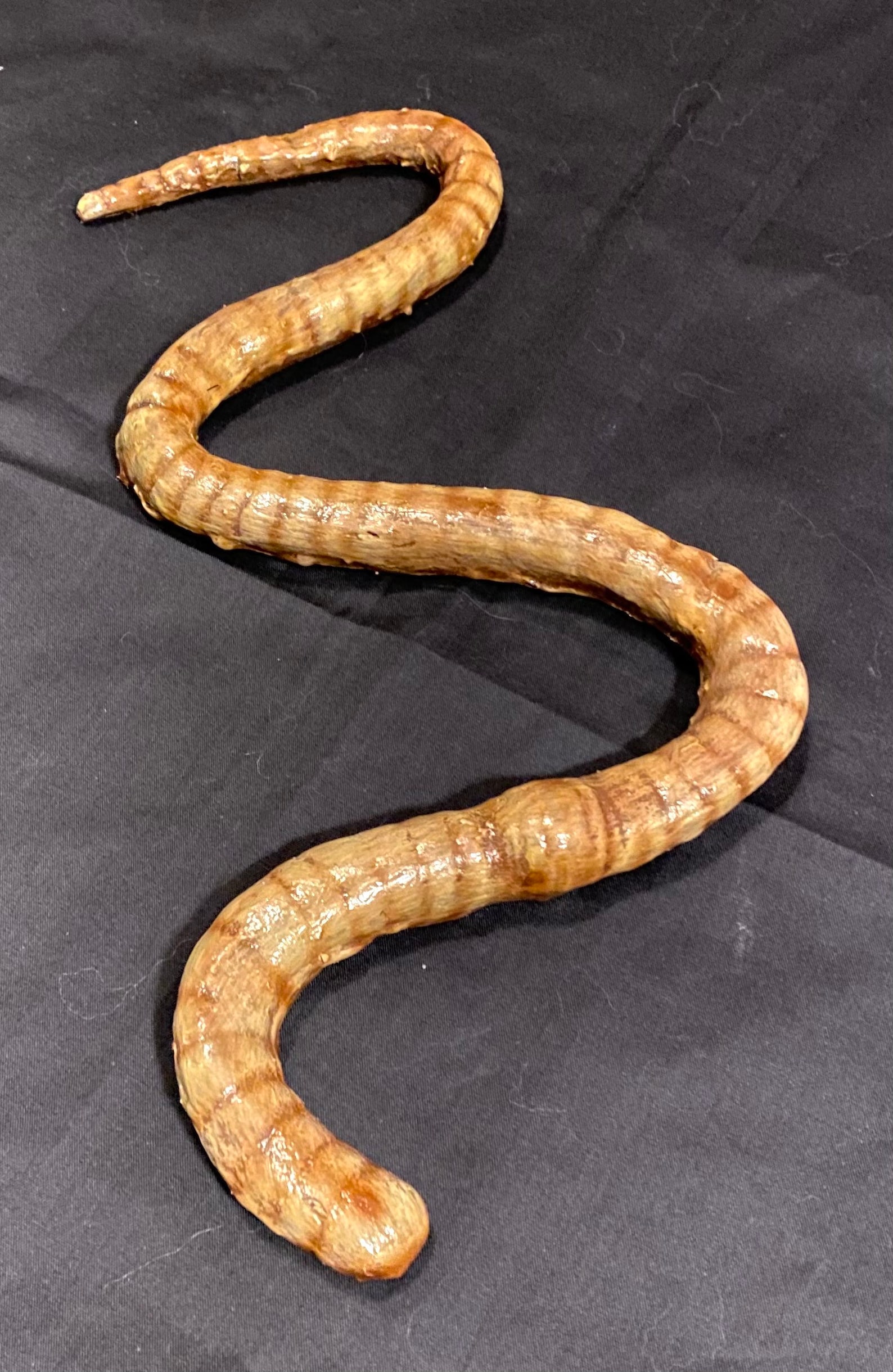 Willy the Worm | Etsy