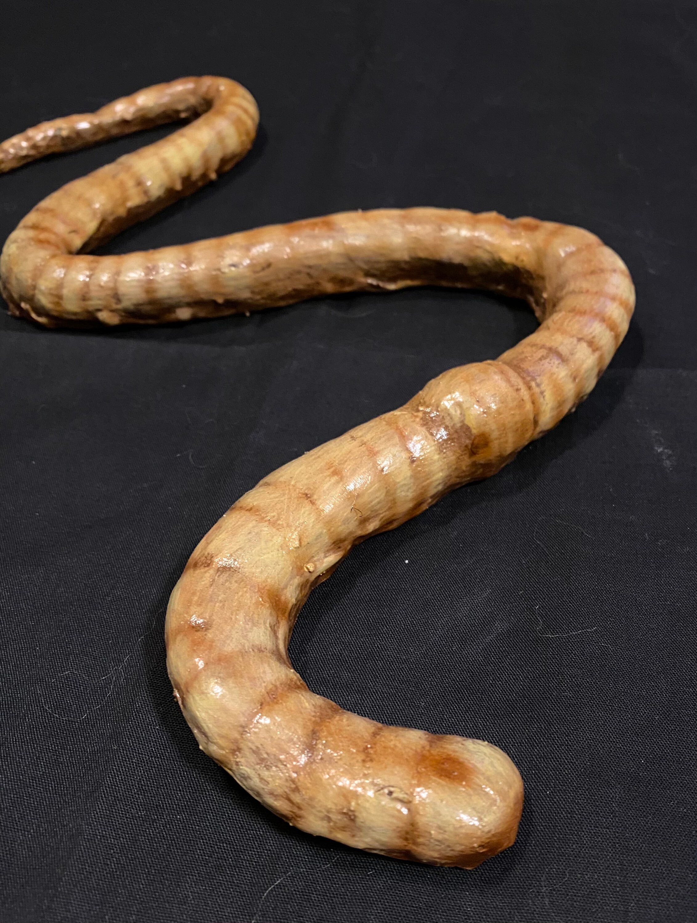 Willy the Worm - Etsy