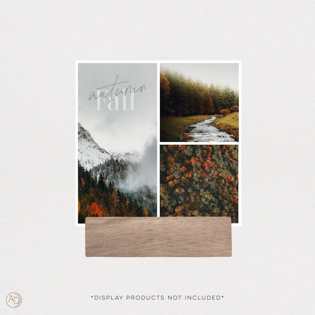 Fall Themed Quote Set | Digital Download | 7 Jpgs | Autumn | Fall ...