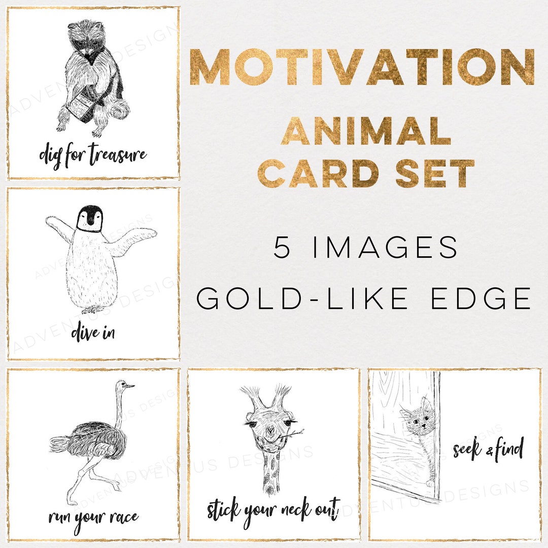Animal Card Set | 5 Designs | Digital Download,printable Art | 5x5,jpg ...
