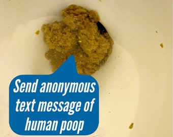 Real Human Poop In - Etsy