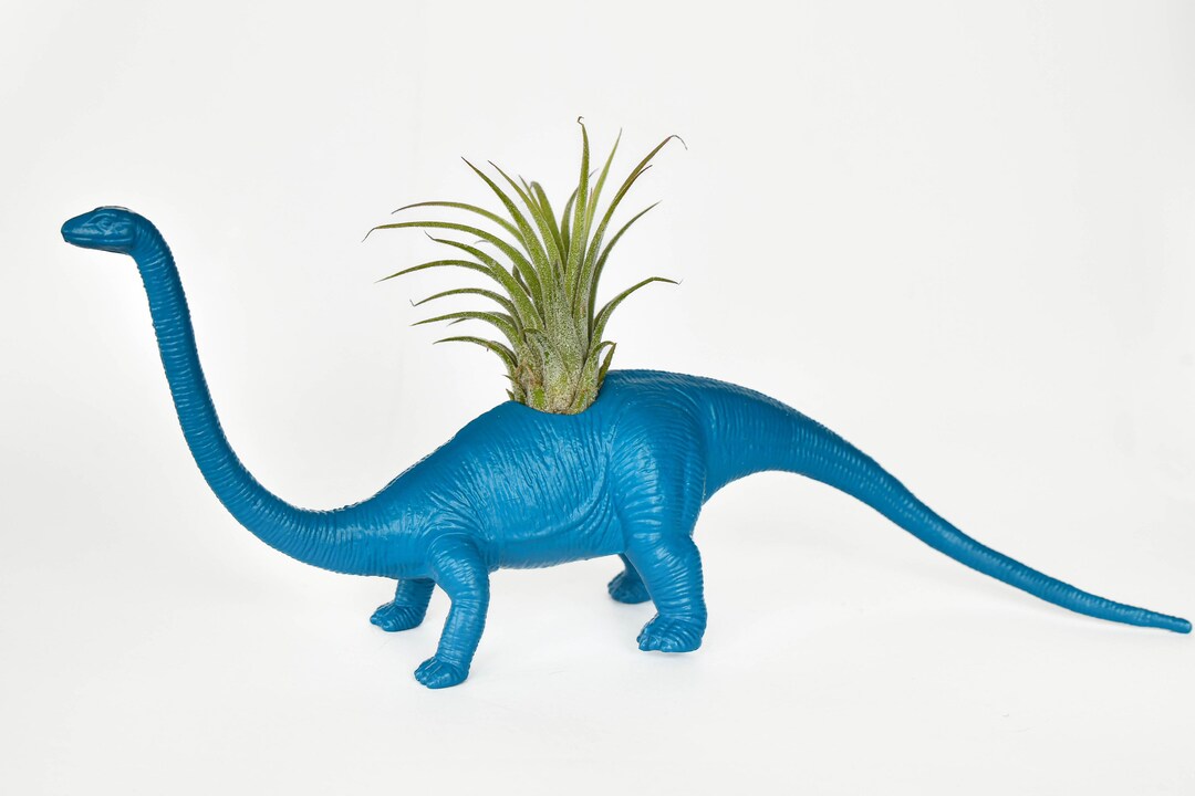 DIPLODOCUS Small Planter - Etsy