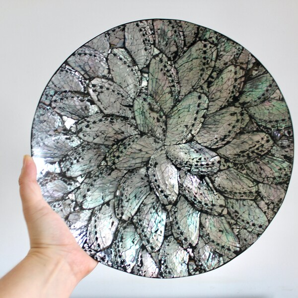 Abalone Shell - Etsy