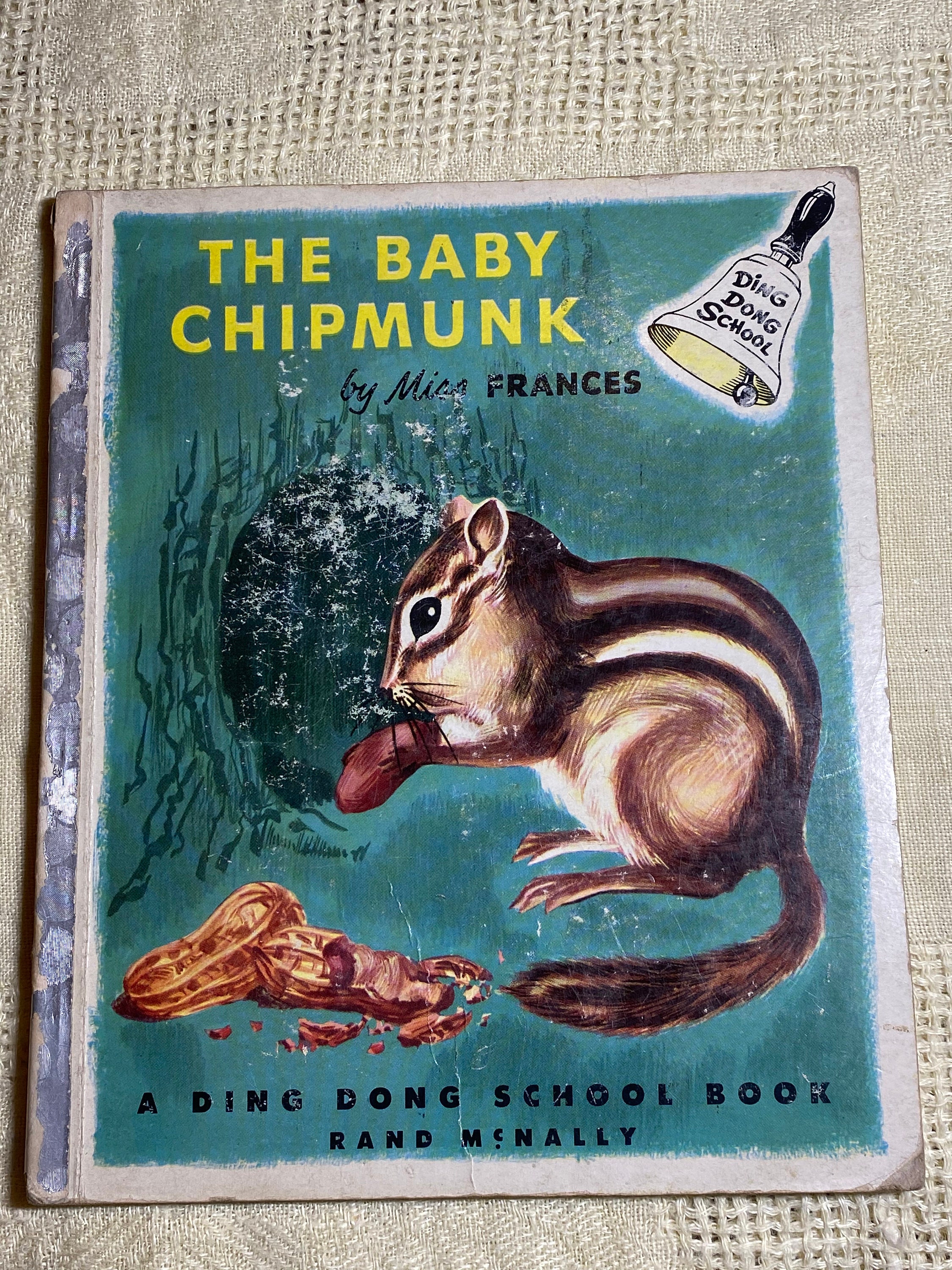 Baby Eastern Chipmunk