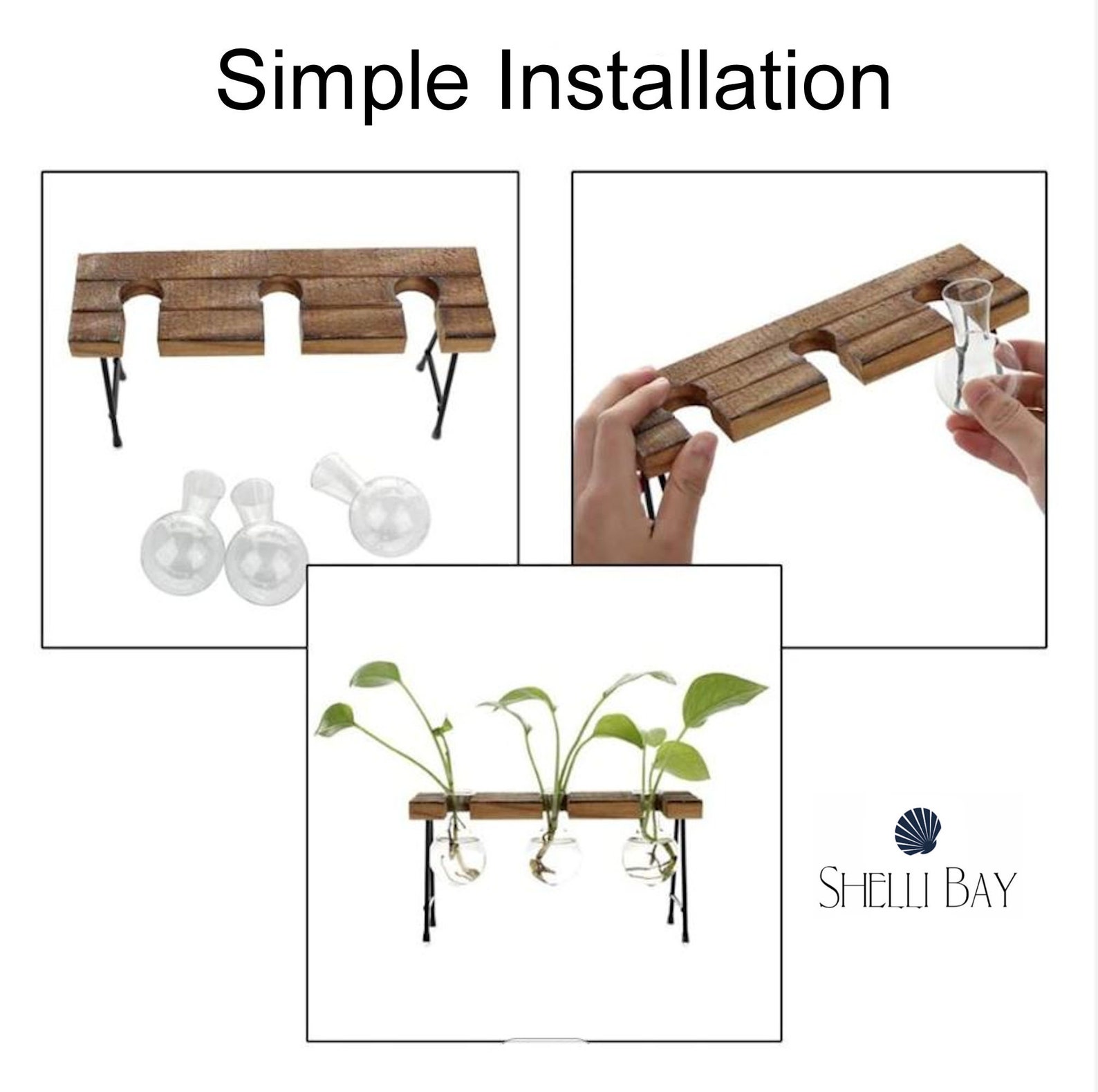 Glass Vase Plant Propagation Station Wood and Metal Stand - Etsy