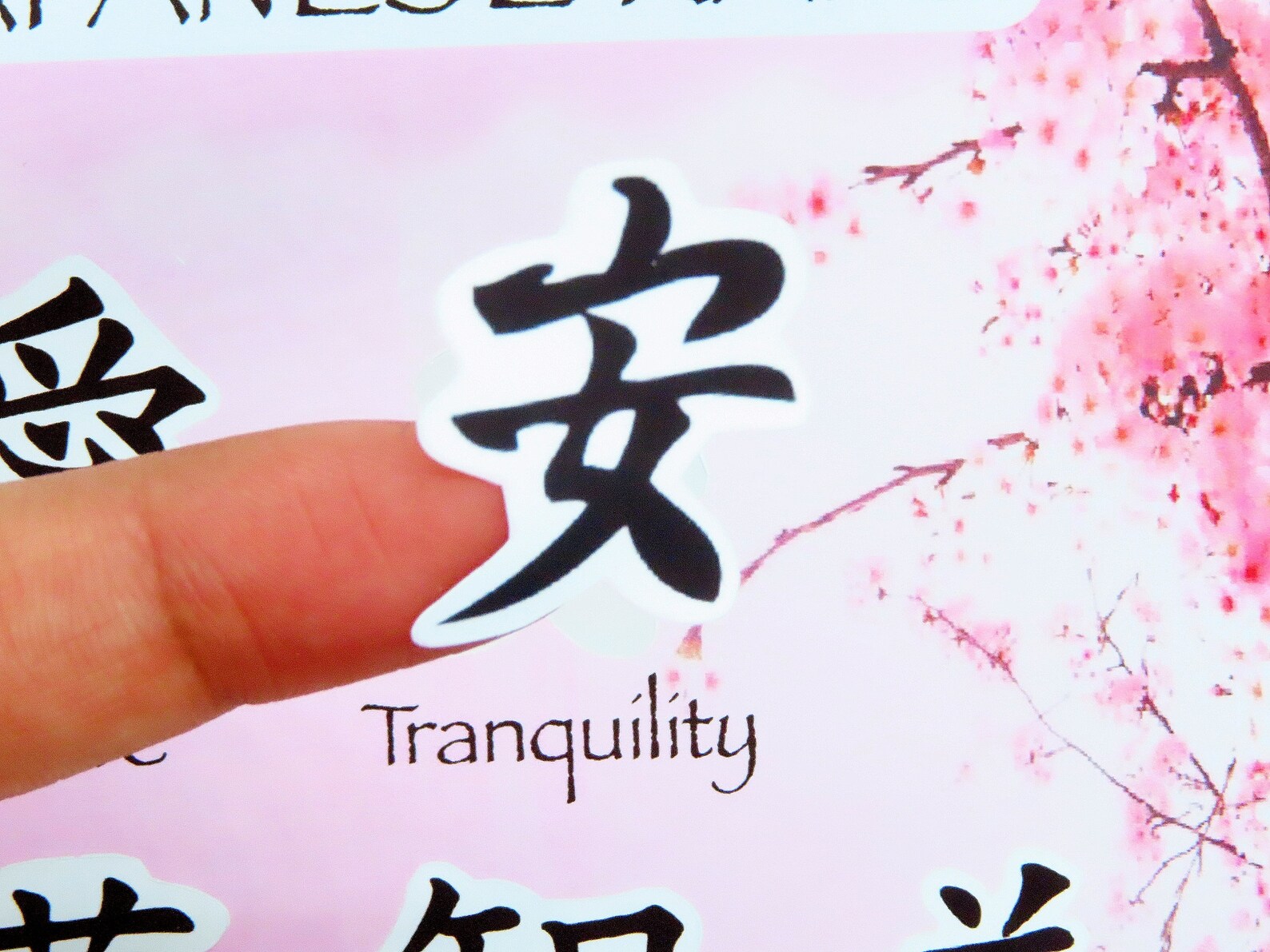 Japanese Kanji Sticker Sheet With Translations - Etsy New Zealand