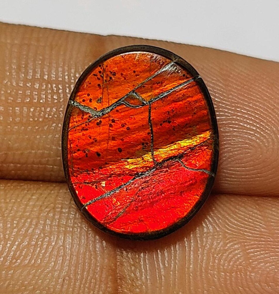 Very Rare & Beautiful Ammolite Gemstone Ammolite Cabochon Ammolite Oval ...