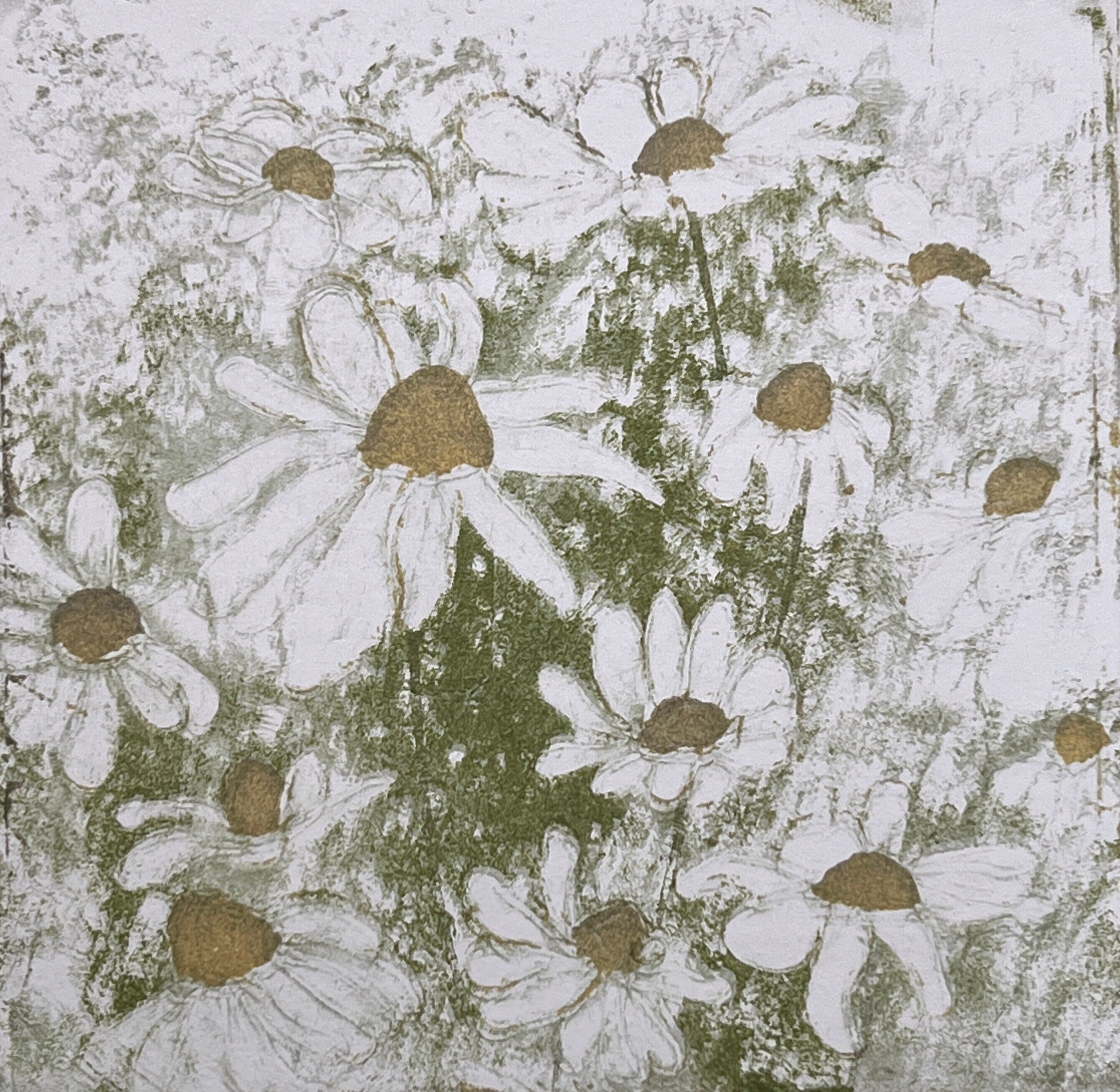 Chamomile Original Kitchen Lithography Print by Lisa Benson. - Etsy