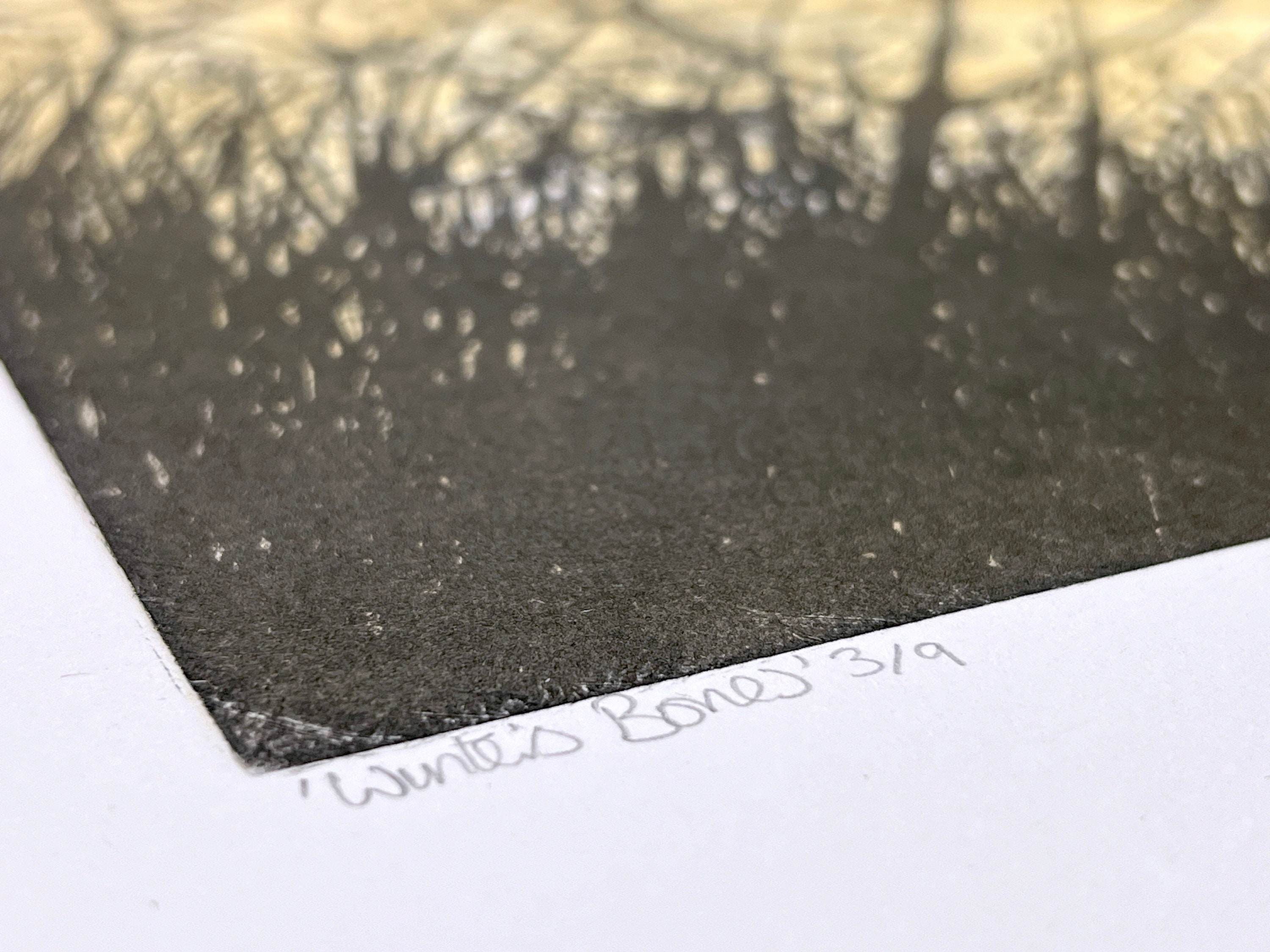 Winter's Bones Original Kitchen Lithography Print by Lisa Benson - Etsy