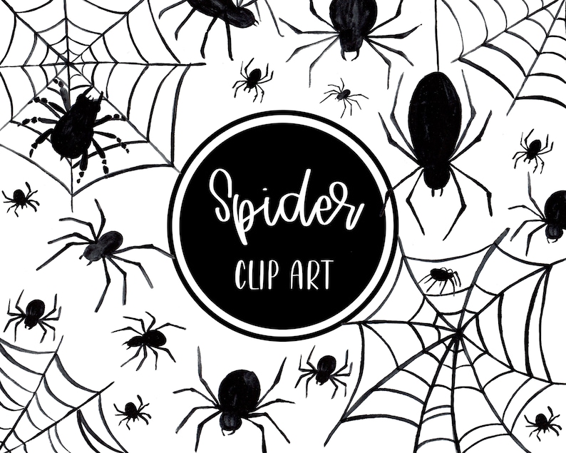 Halloween Spider Clip Art Watercolor Handpainted Animal Spider's Web ...