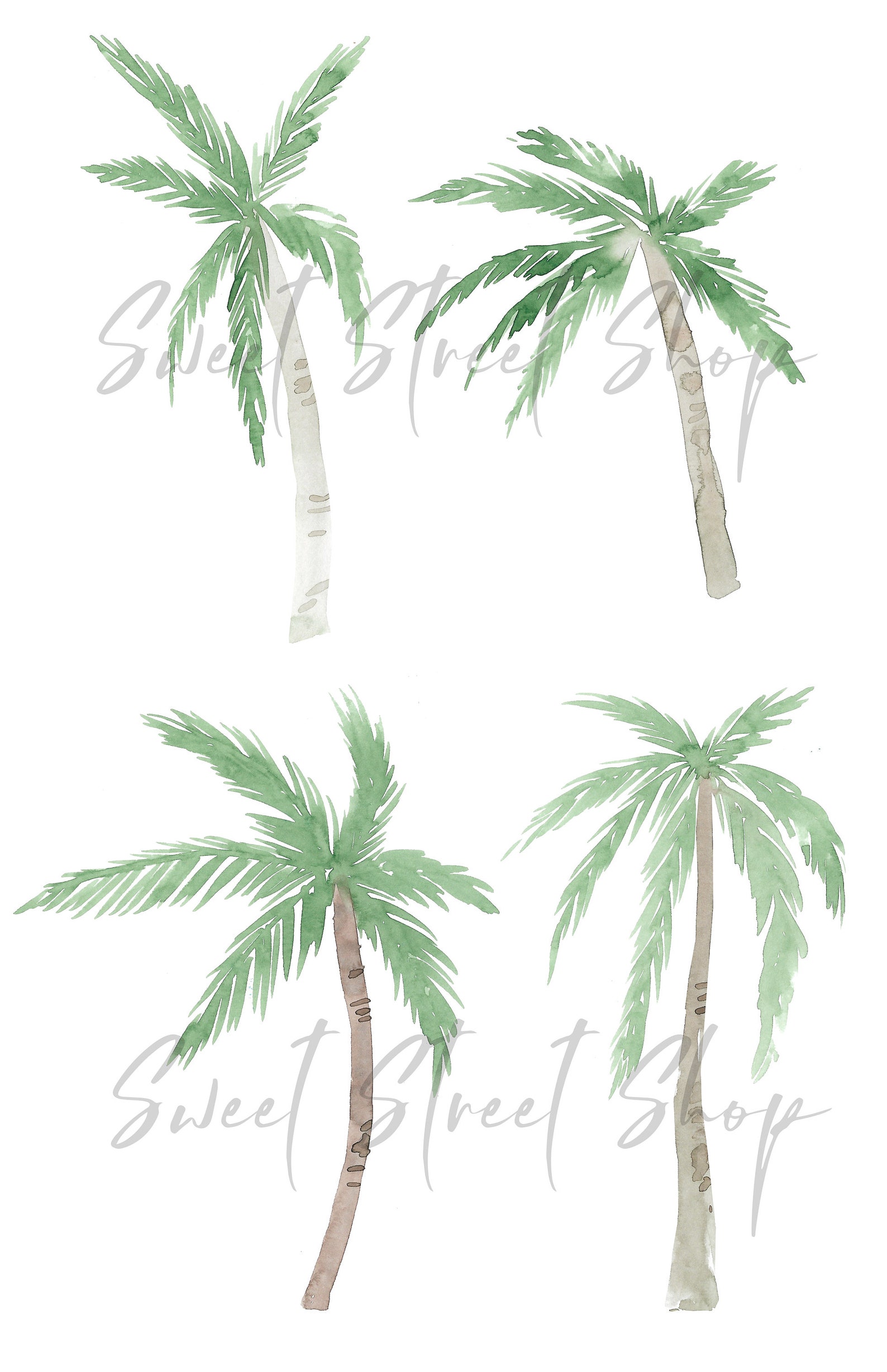 Palm Tree Clip Art Watercolor Handpainted Digital Clipart Tropical ...