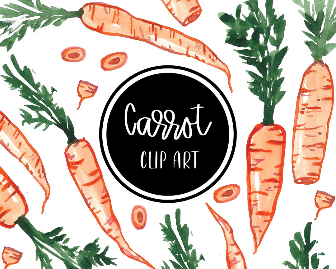 Carrot Watercolor Handpainted Digital Clip Art Clipart Vegetables Cards ...