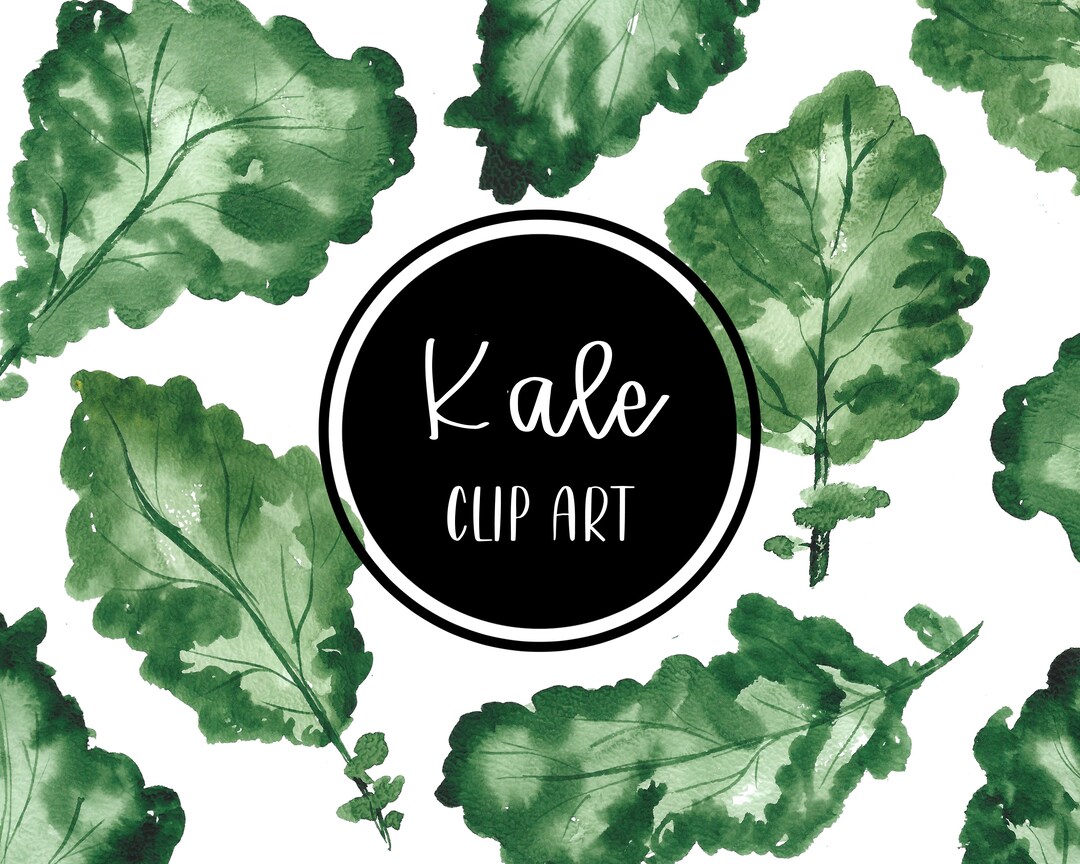 Kale Watercolor Handpainted Digital Clip Art Clipart Vegetables Cards ...
