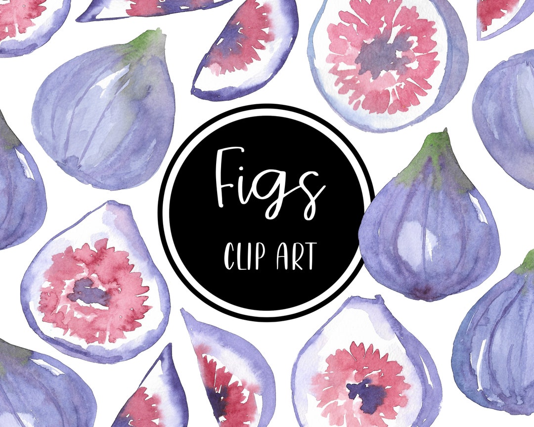 Figs Watercolor Handpainted Digital Clip Art Clipart Fruit Cards ...