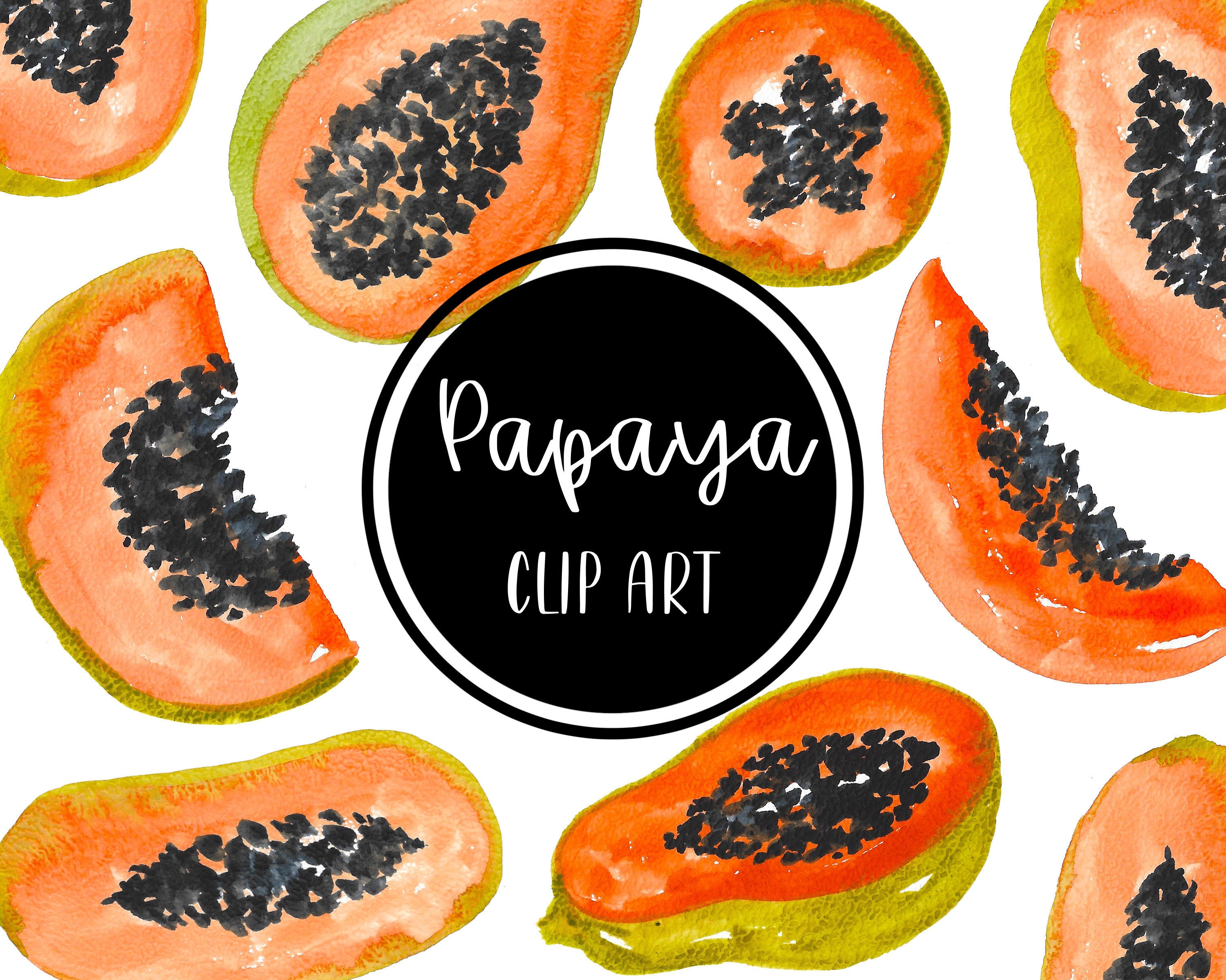 Papaya Clip Art Watercolor Handpainted Digital Clipart Fruit - Etsy