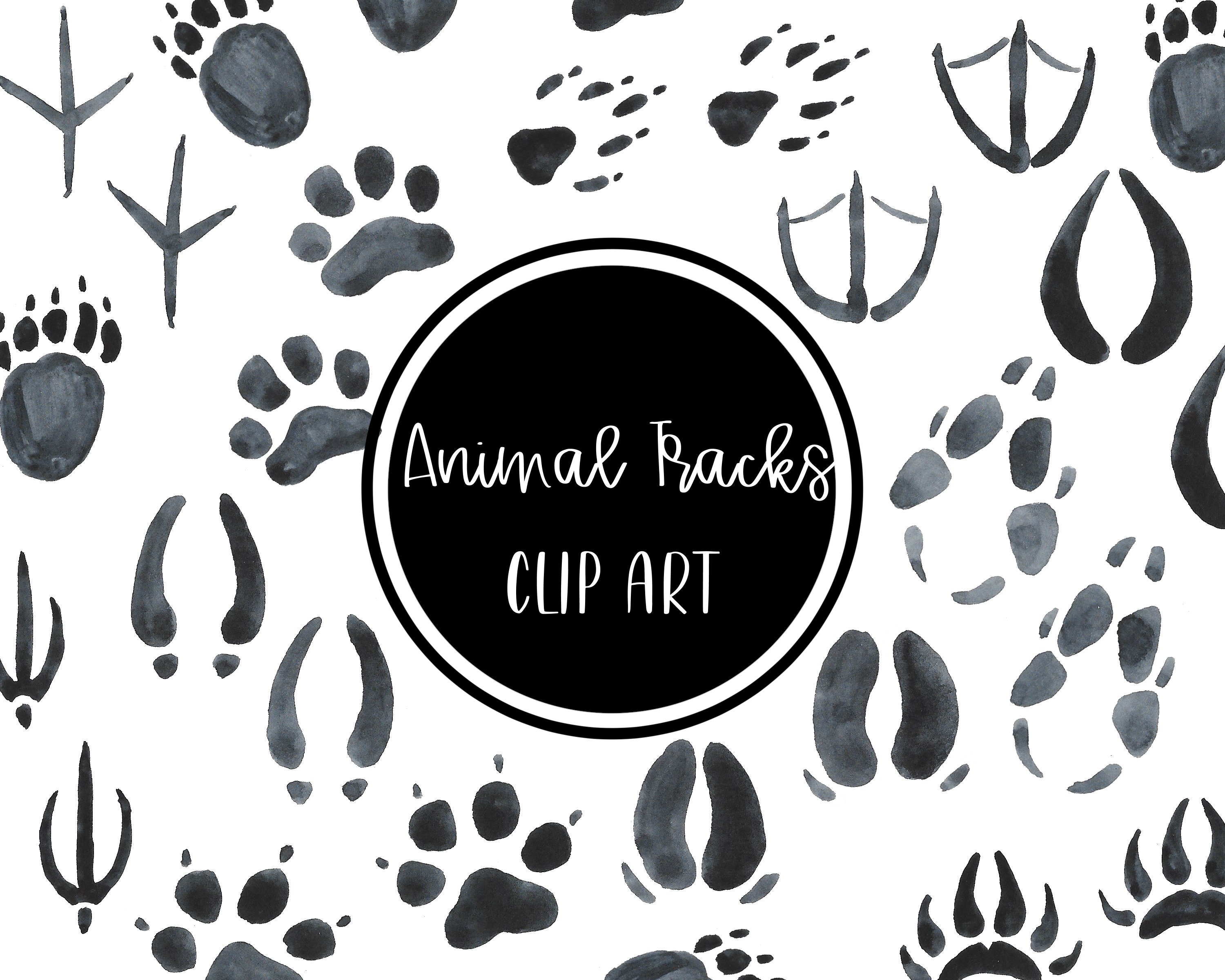 Large Cat Animal Tracks Clipart