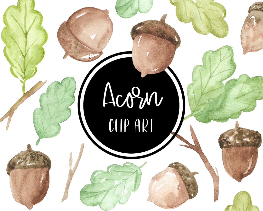 Acorn Clip Art Watercolor Autumn Handpainted Digital Clipart Floral ...
