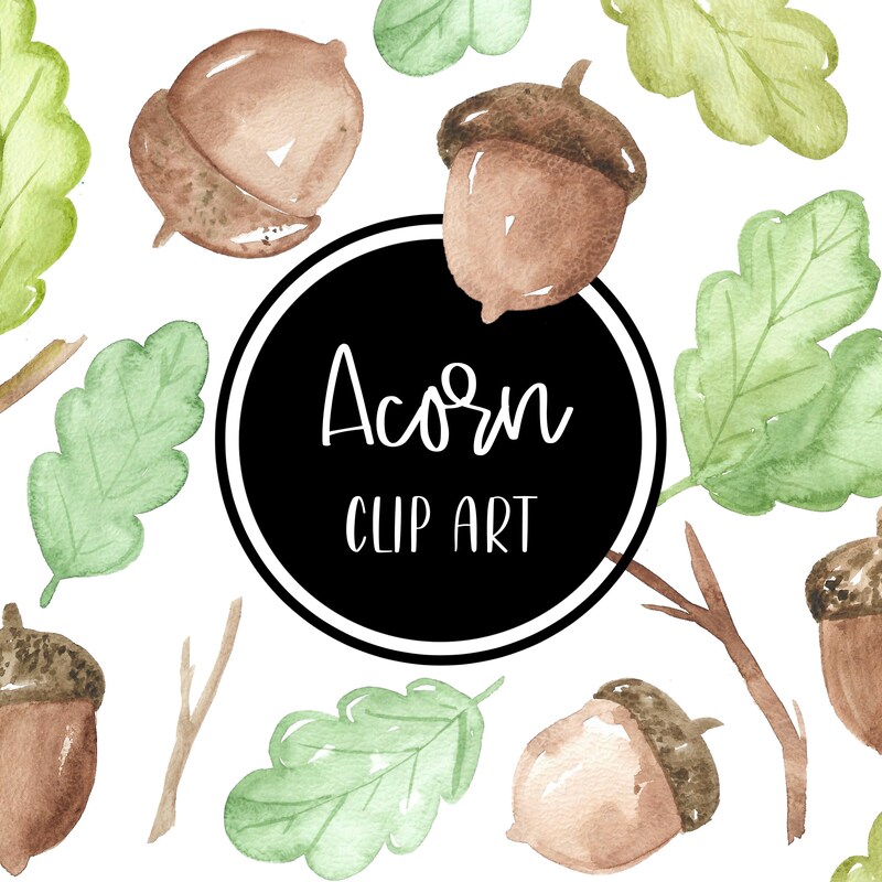 Acorn Watercolor - Etsy