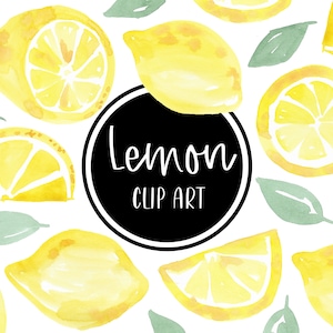 Lemon Watercolor Handpainted Digital Clip Art Clipart Citrus Vegetables ...