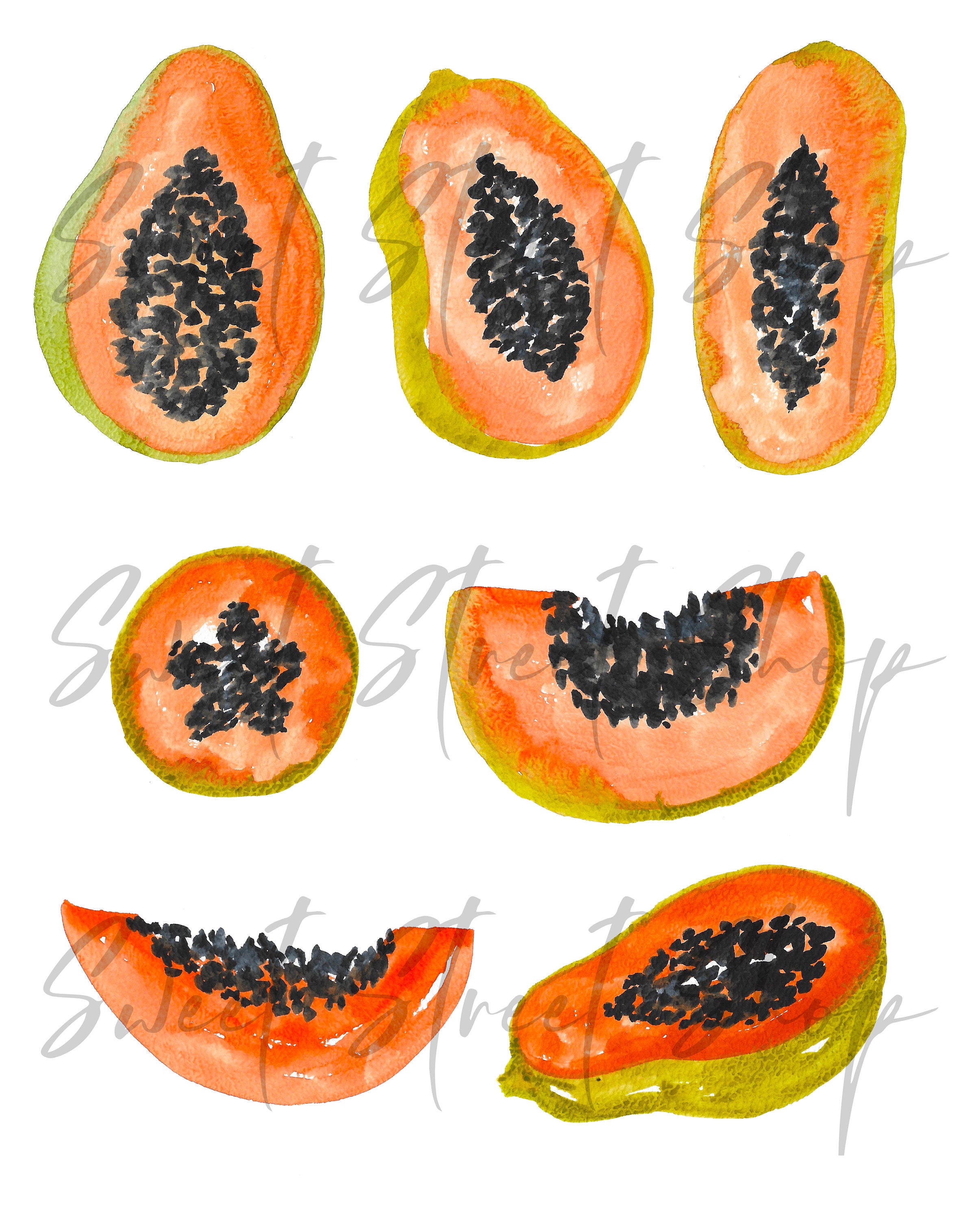 Papaya Clip art acuarela pintado a mano Digital Clipart - Etsy España