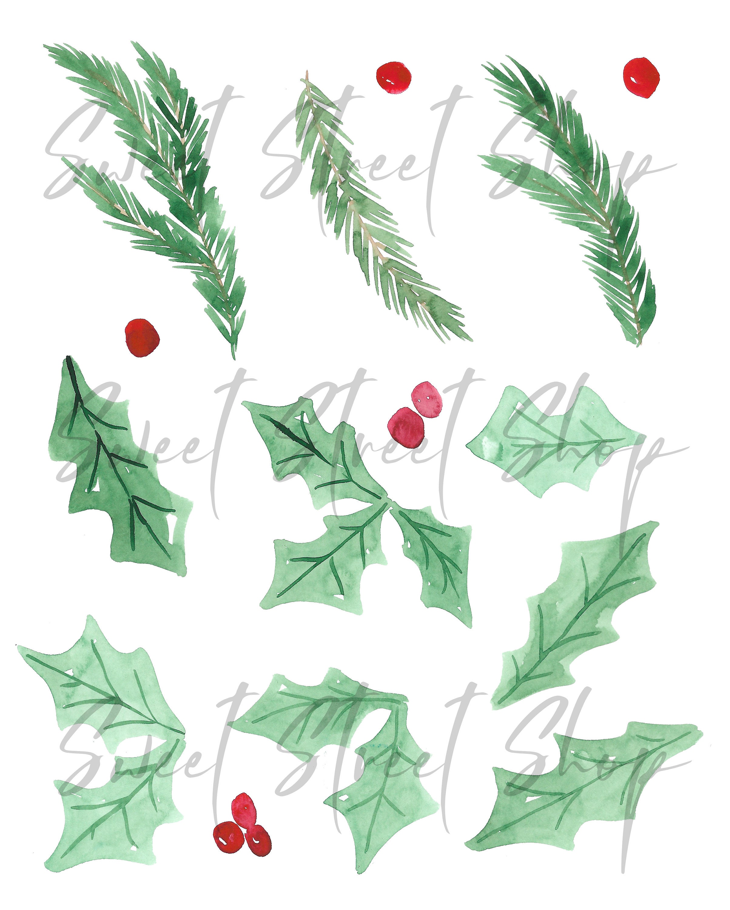 Holly Christmas Clip Art Watercolor Handpainted Digital - Etsy