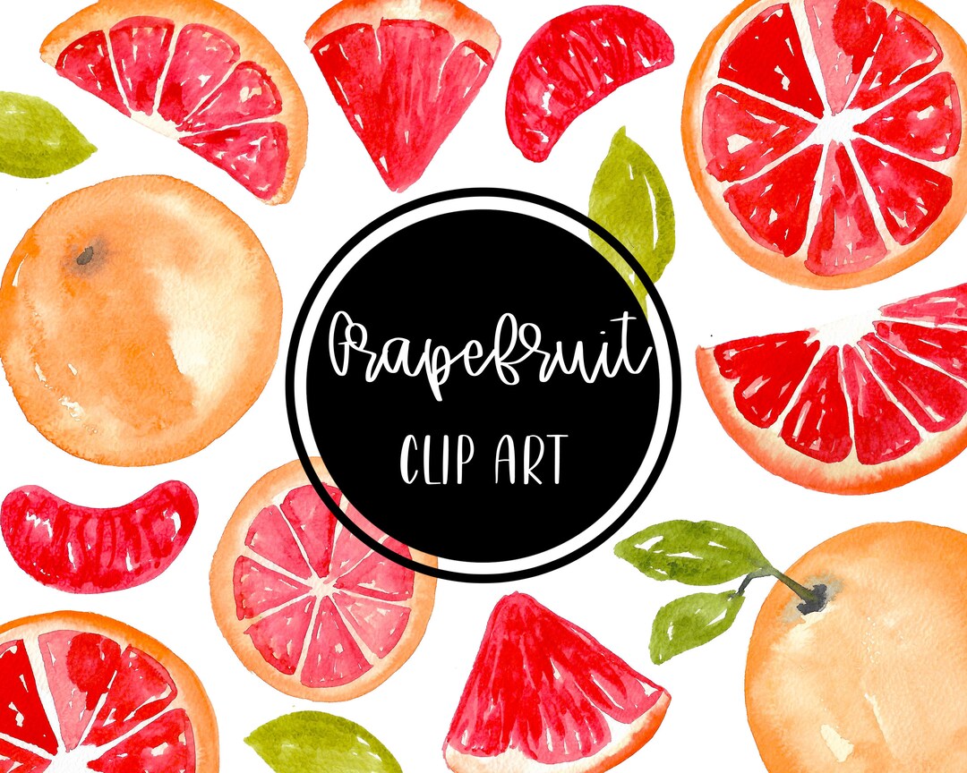 Grapefruit Clip Art Watercolor Handpainted Digital Clipart Citrus ...
