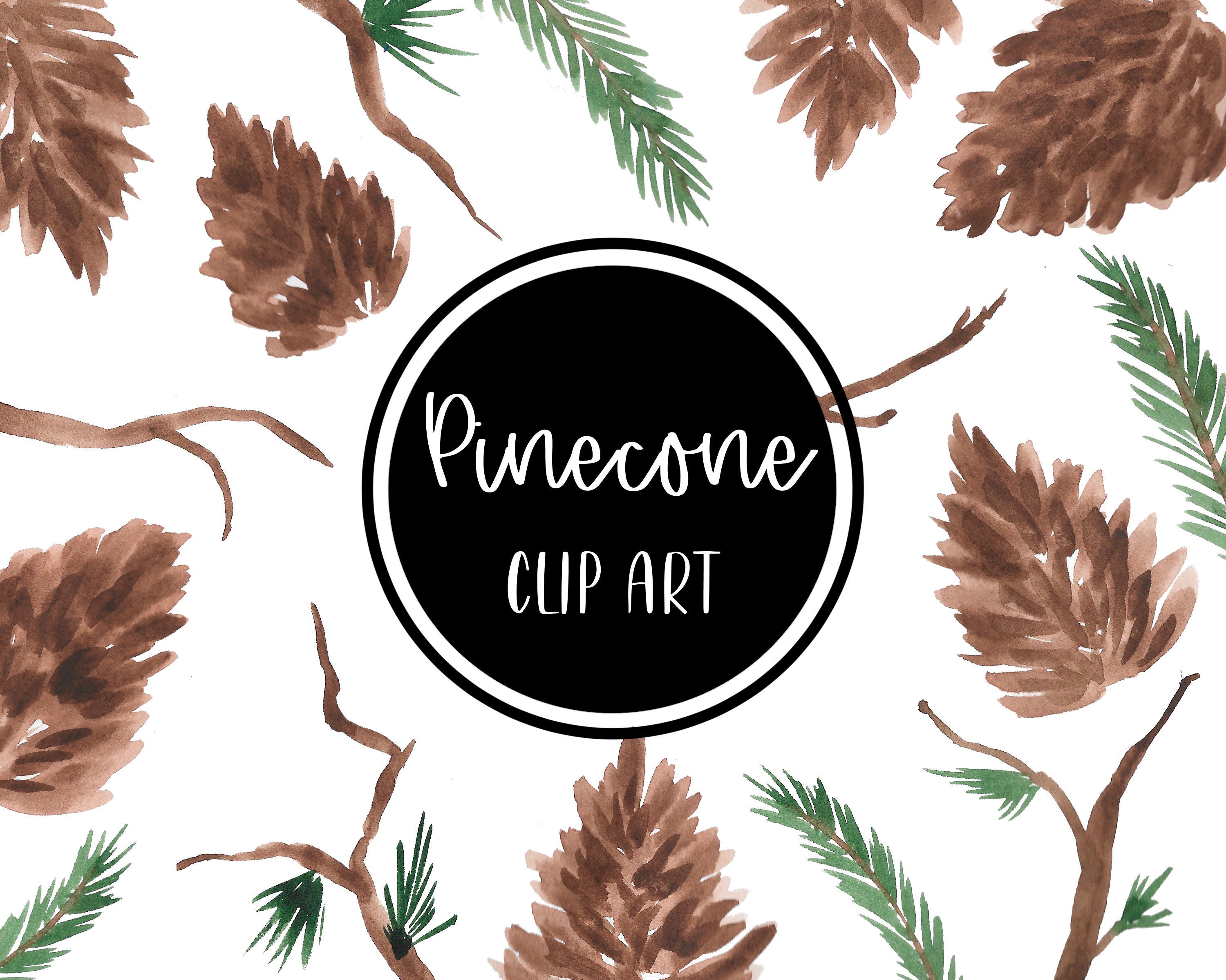 Pinecone Pine Clip Art Watercolor Handpainted Digital Clipart Pinecones ...