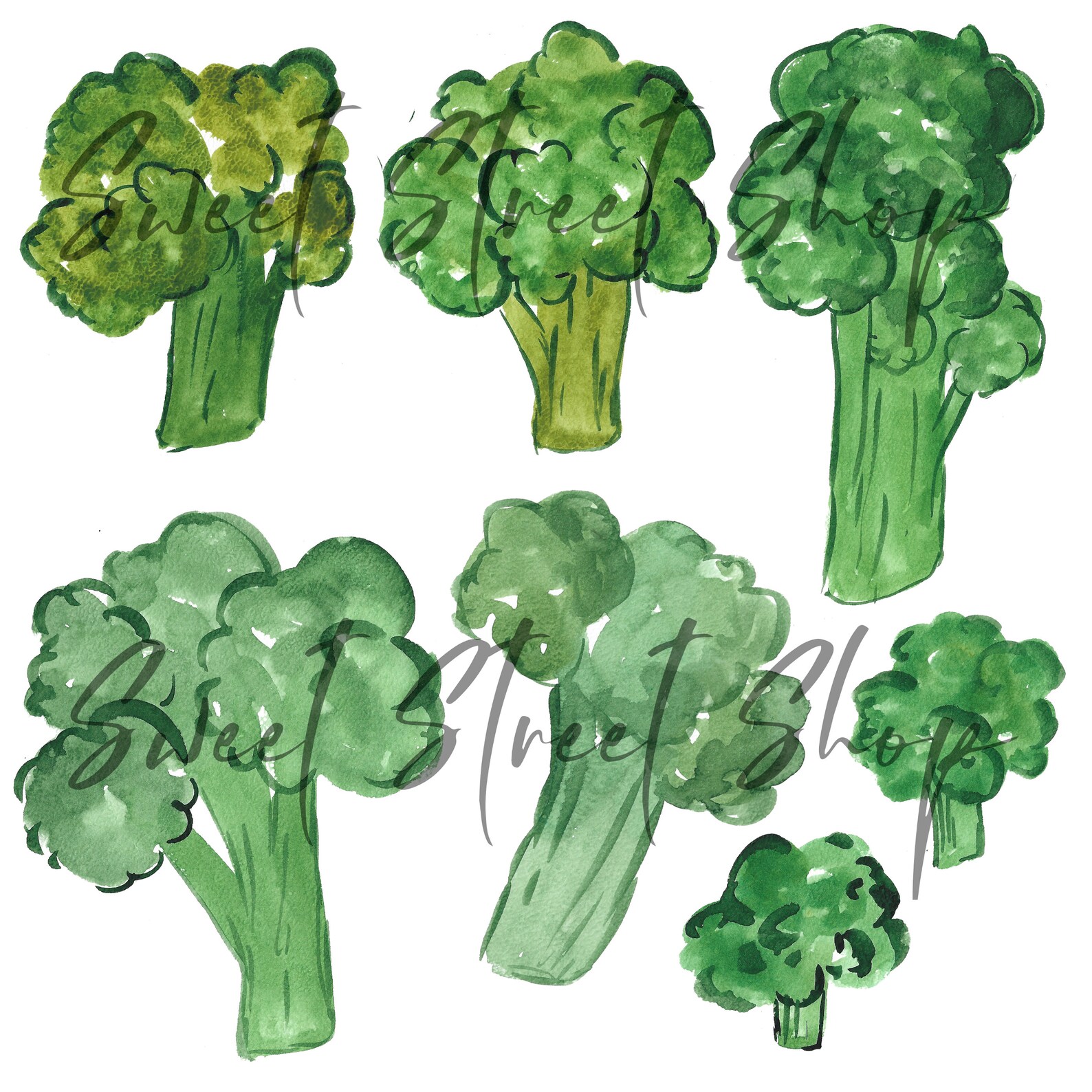 Broccoli Watercolor Handpainted Digital Clipart Vegetables - Etsy