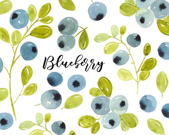 Blueberry Watercolor Handpainted Digital Clipart Fruit Cards | Etsy
