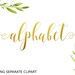 Alphabet Clip Art Foil Gold Alphabet Letters Cards Download - Etsy