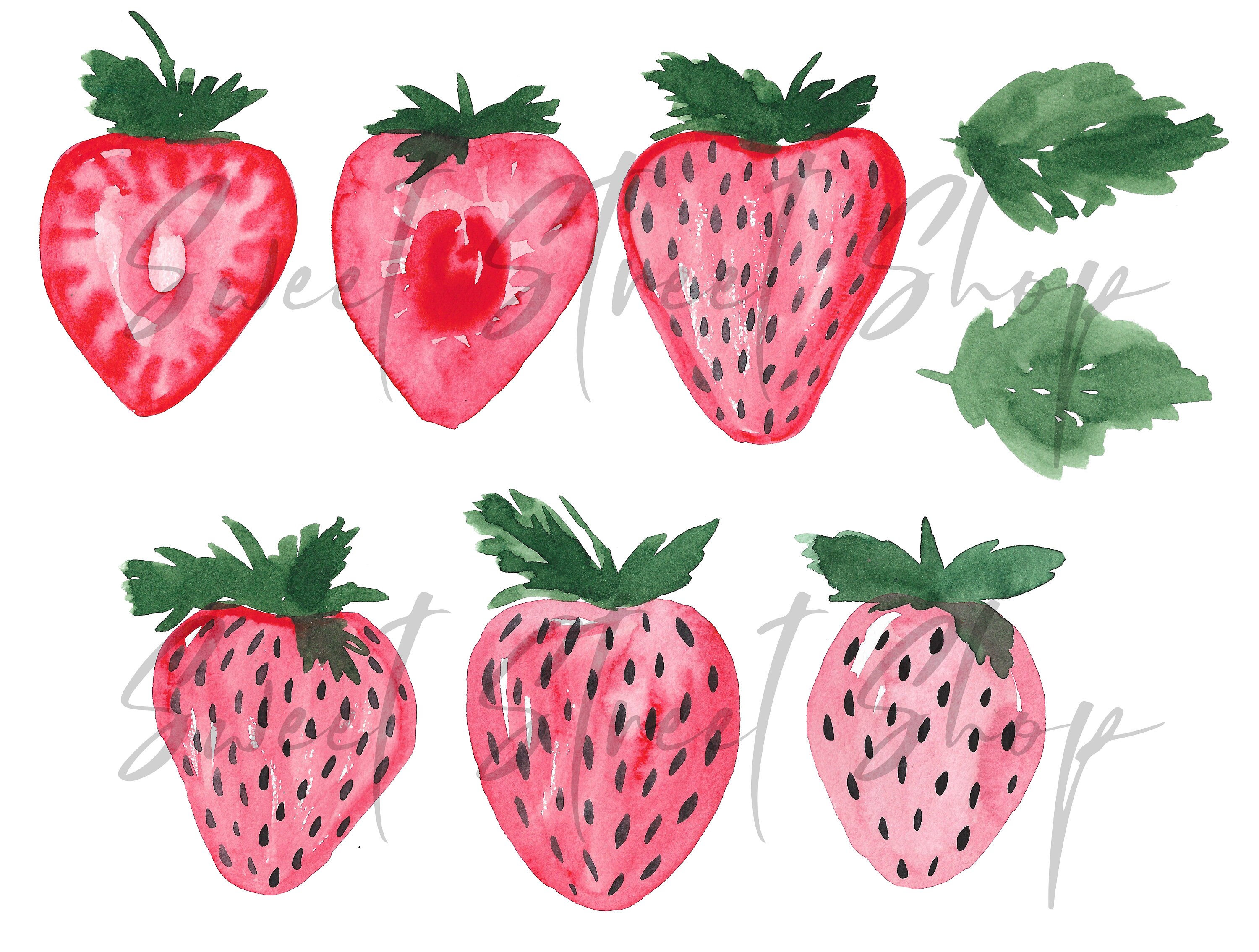 Strawberry Watercolor Handpainted Digital Clipart Fruit | Etsy