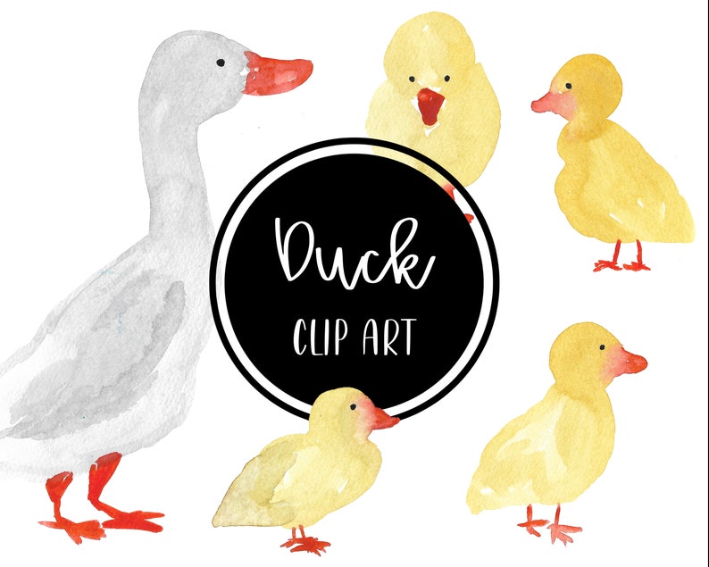 Ducks Clip Art Watercolor Handpainted Animals Print Digital Clipart ...