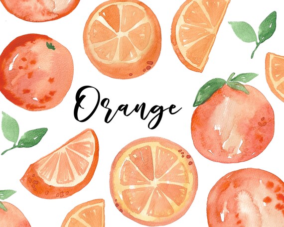 Orange Watercolor Handpainted Digital Clipart Citrus Fruit - Etsy