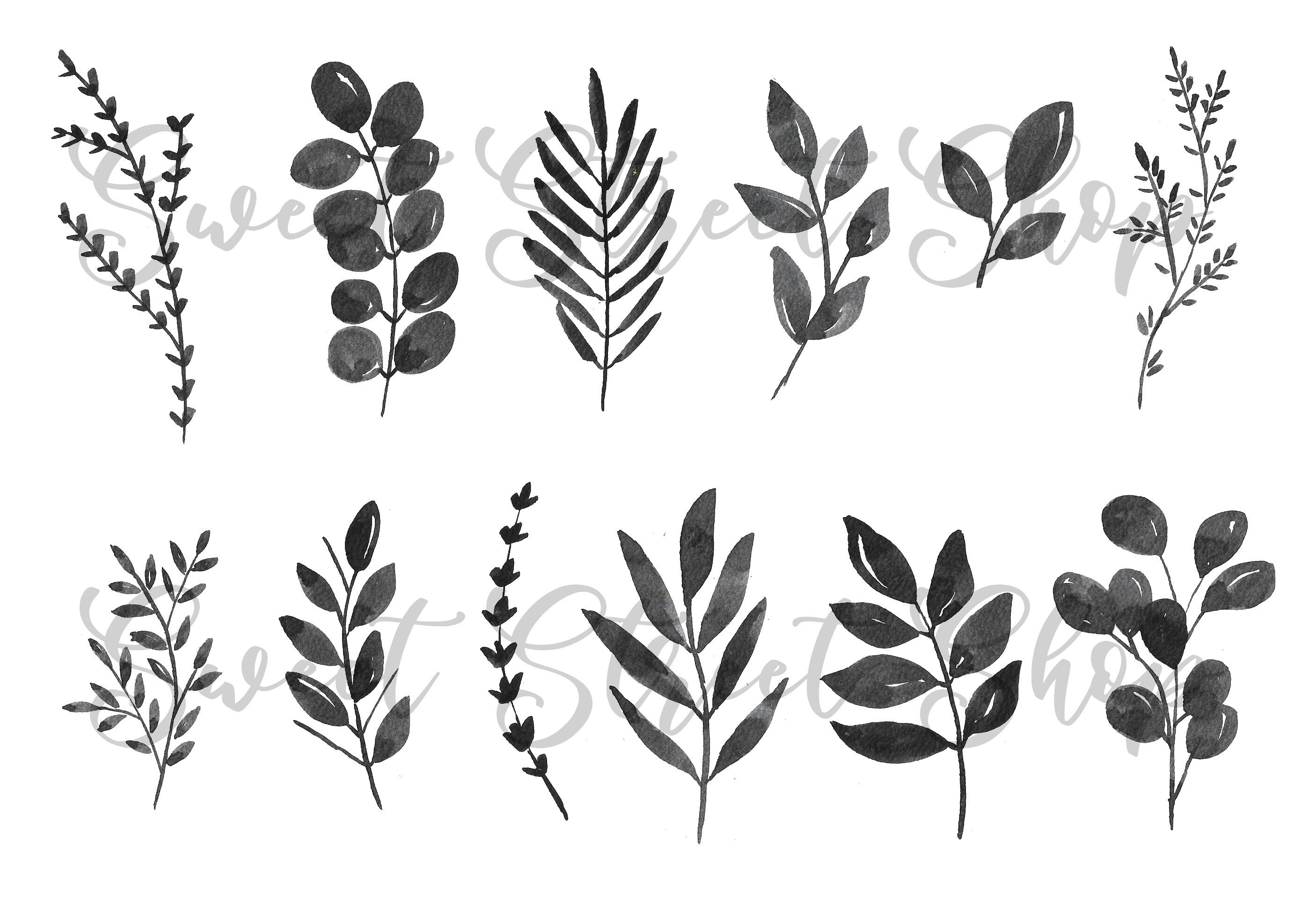 Black Leaves Watercolor Clip Art Handpainted Digital Clipart Leave Leaf ...