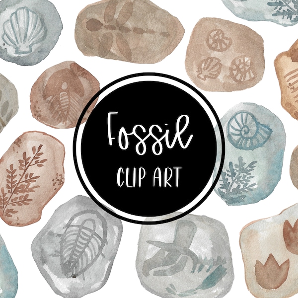 Fossil Clip Art - Etsy