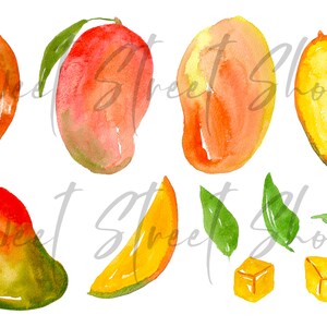 Mango Watercolor Handpainted Digital Clip Art Clipart Fruit Cards ...