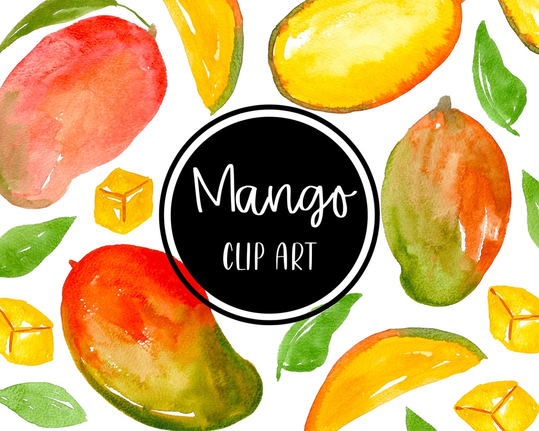 Mango Watercolor Handpainted Digital Clip Art Clipart Fruit Cards ...