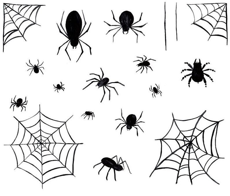 Halloween Spider Clip Art Watercolor Handpainted Animal Spider's Web ...