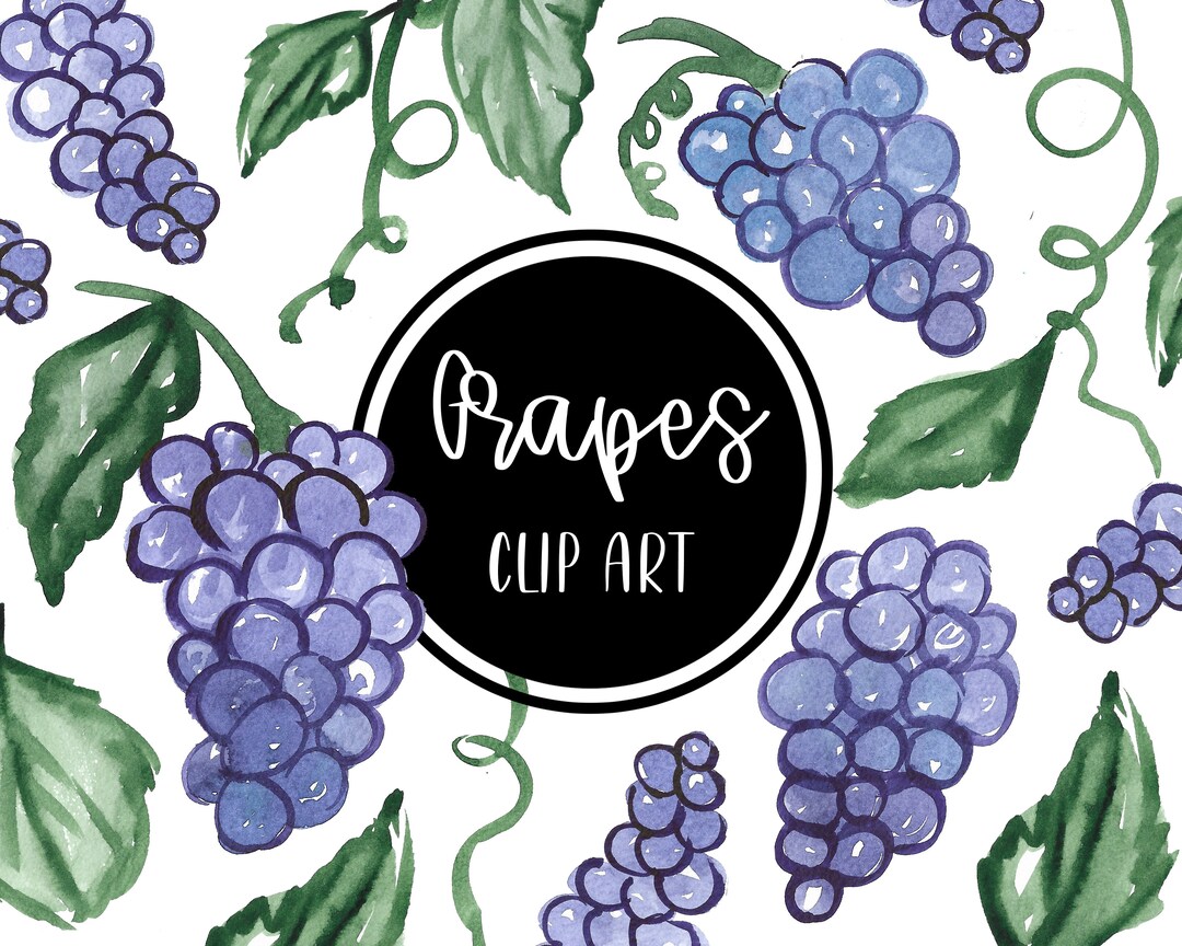 Grapes Watercolor Handpainted Digital Clip Art Clipart Fruit Cards ...