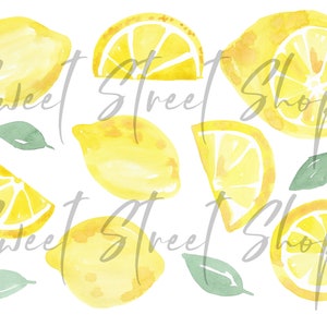 Lemon Watercolor Handpainted Digital Clip Art Clipart Citrus Vegetables ...