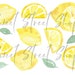 Lemon Watercolor Handpainted Digital Clipart Citrus Vegetables - Etsy
