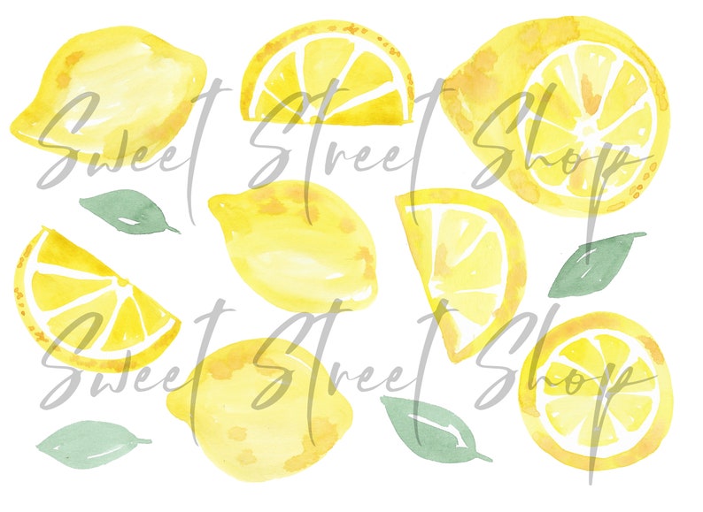 Lemon Watercolor Handpainted Digital Clipart Citrus Vegetables - Etsy
