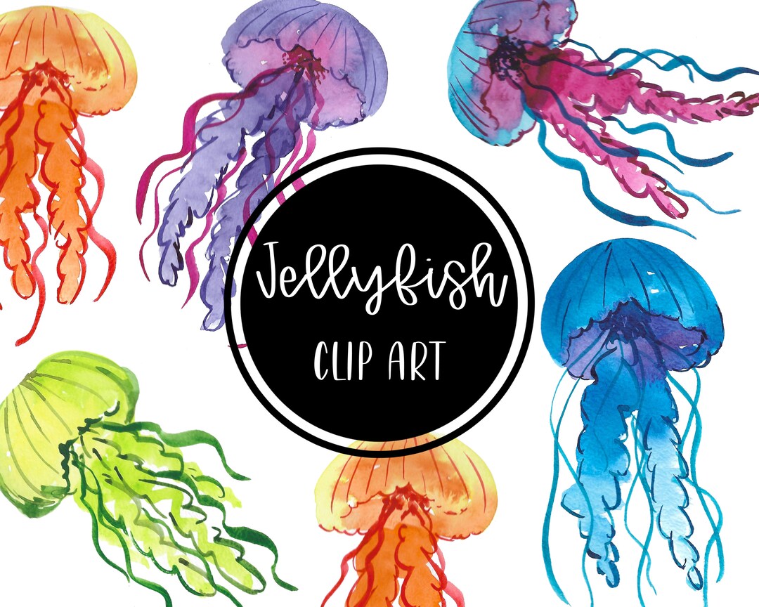 Jellyfish Clip Art Watercolor Handpainted Digital Fish Sea Clipart ...