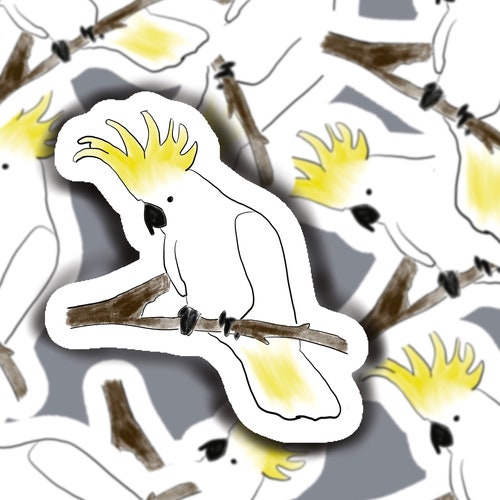 Umbrella Cockatoo Decal Parrot Decal Bird Sticker Cockatoo - Etsy