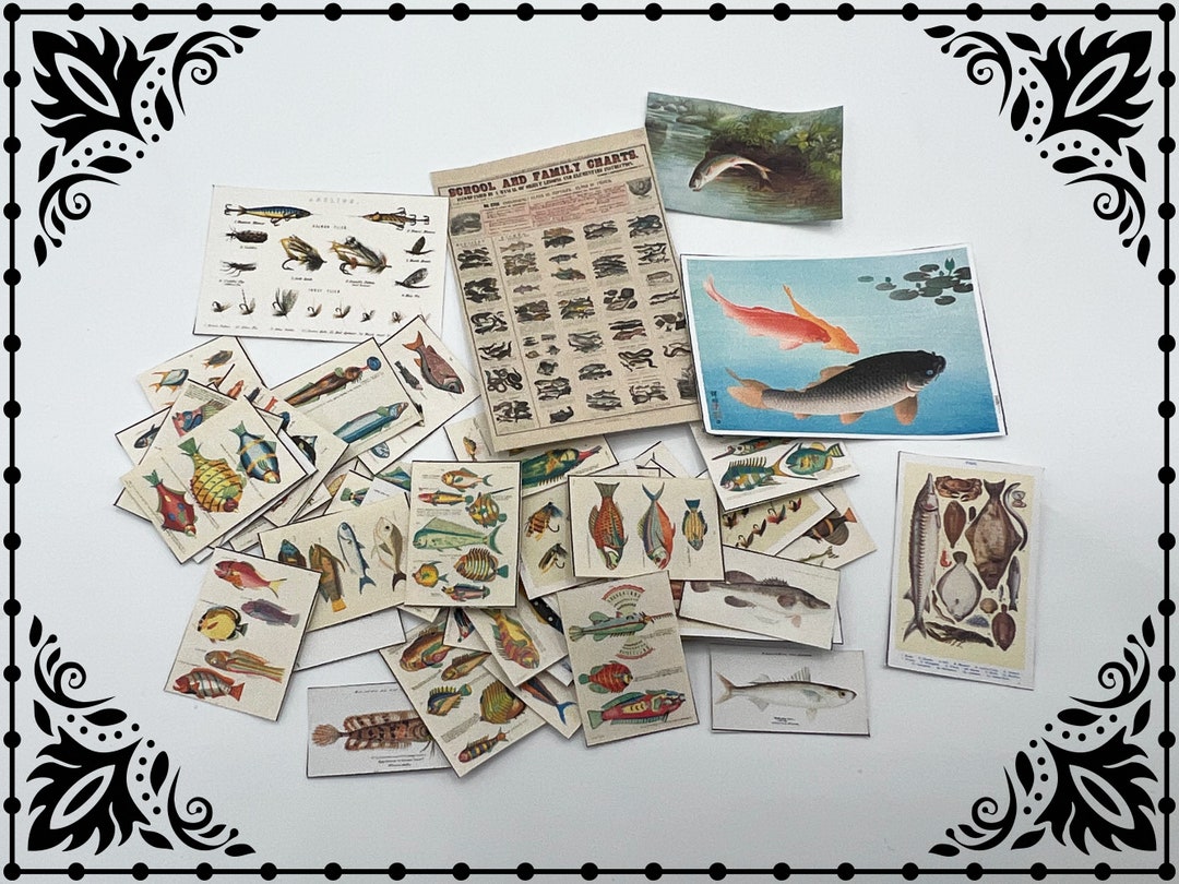 Fish and Fishing Ichthyology Set 1/12 Dollhouse Miniature Printable ...
