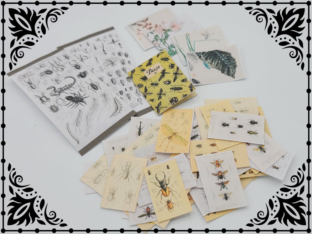 Entomology Paper Set 1/12 Dollhouse Miniature Printable Digital ...