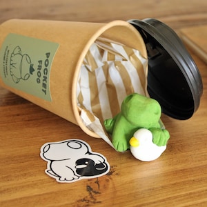 MYSTERY Box - Frog - Blind Box & Sticker | Cute Art Collectables Décor ...