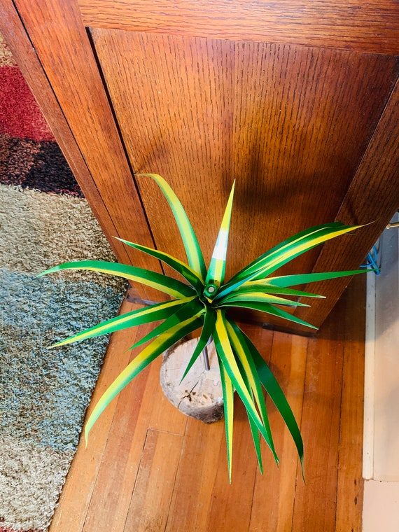 Metal Plant Dracaena Spider Plant Home Decor Yard Art | Etsy