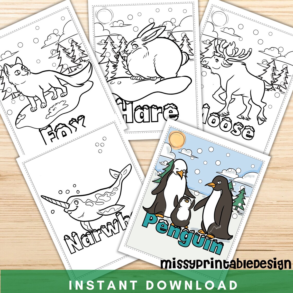 Arctic Animals Coloring Pages Printable Animal Coloring - Etsy